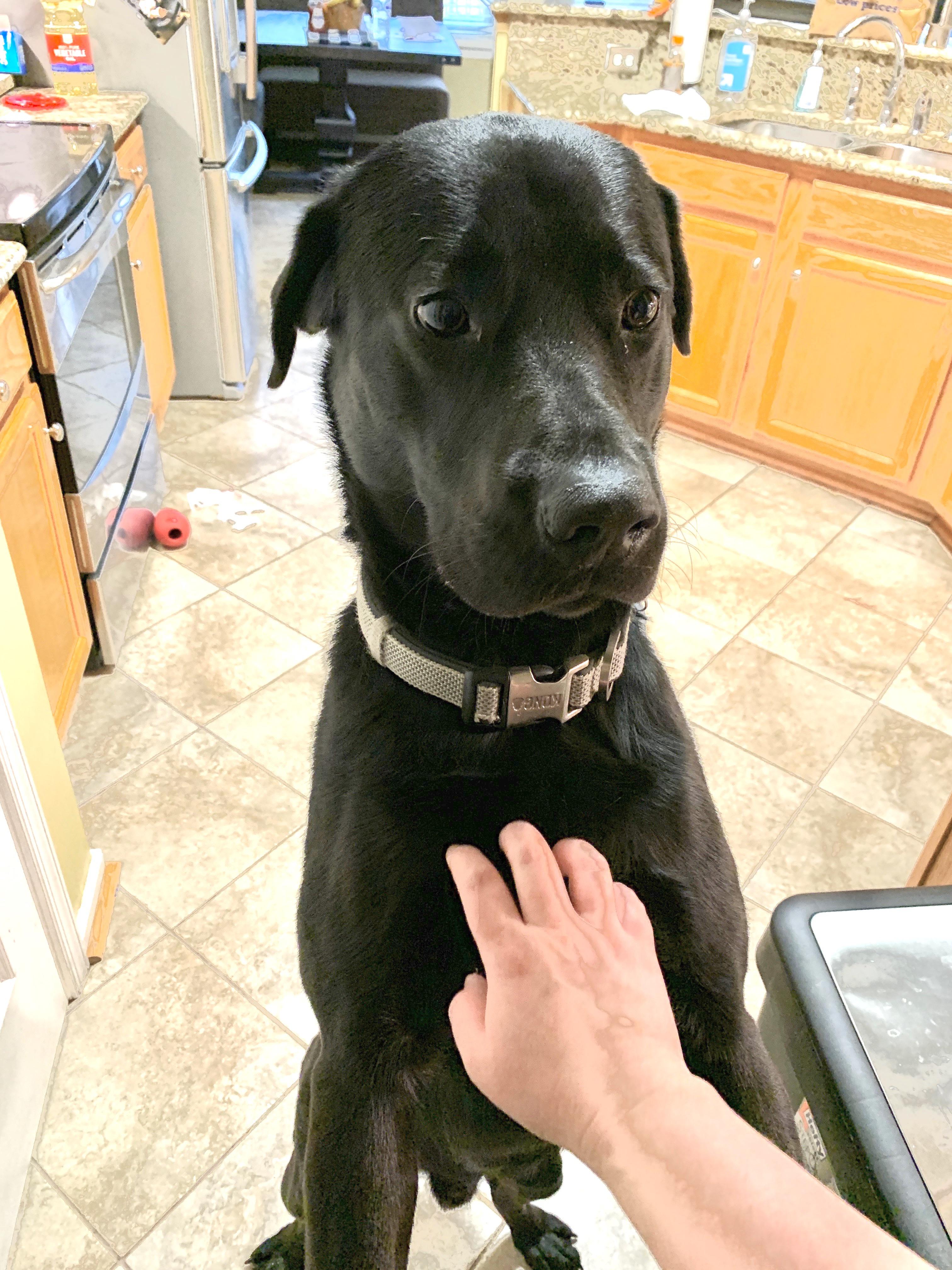 No please don’t go to work! | Scrolller