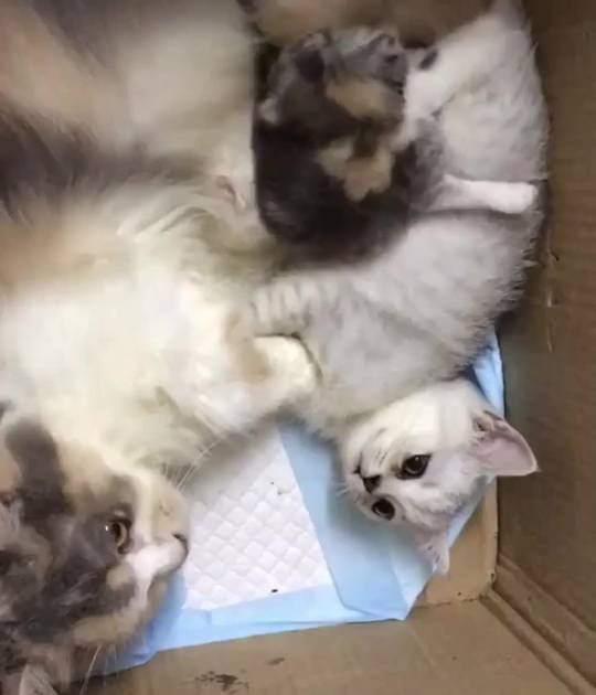 No slap in my box! | Scrolller