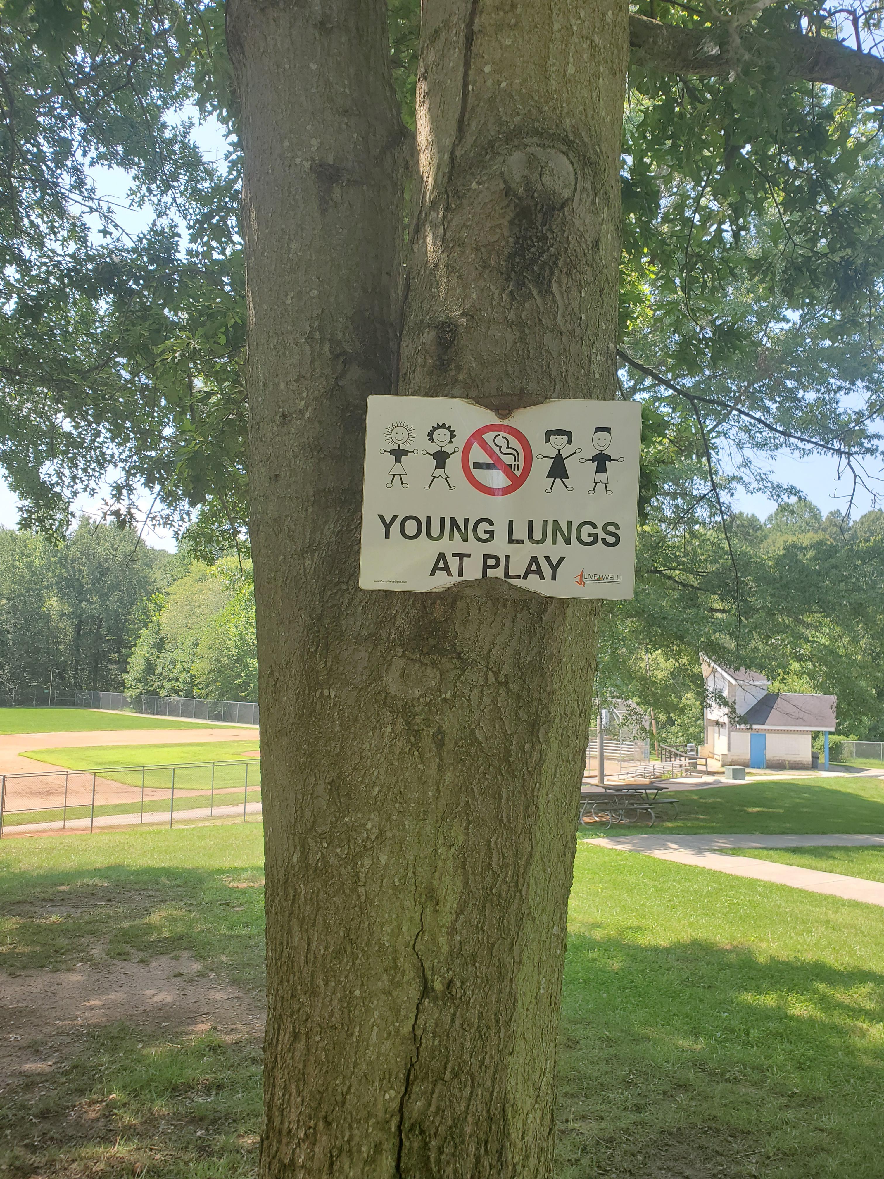 No smoking | Scrolller