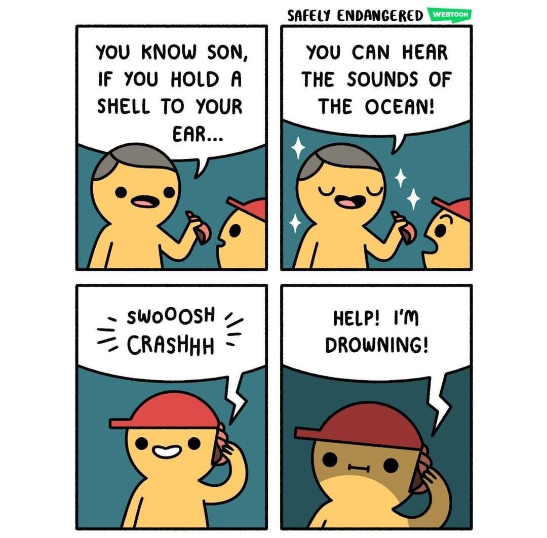 No Timmy, no | Scrolller