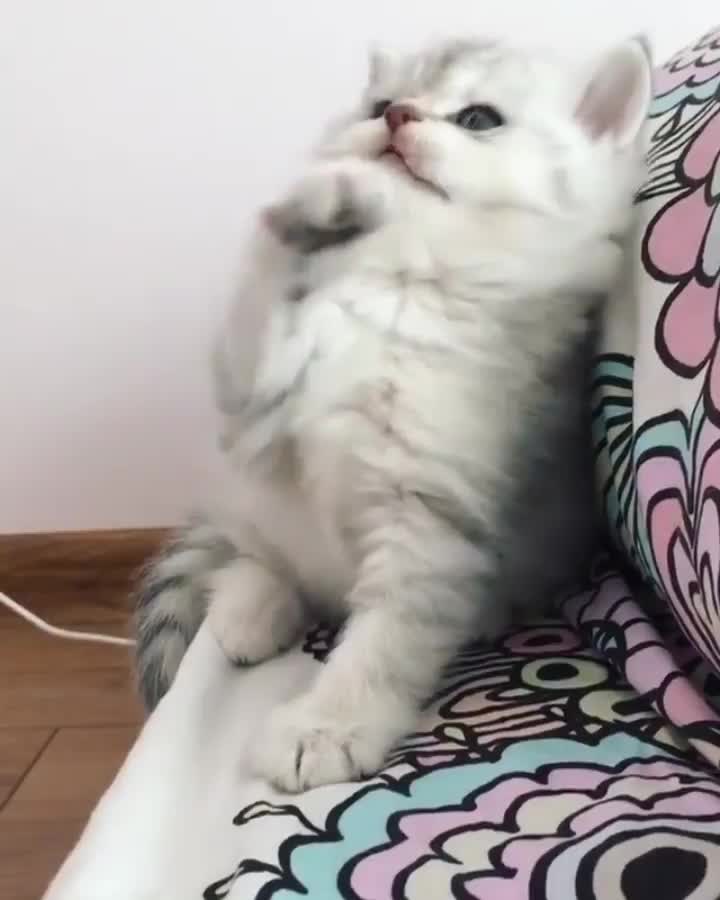 No touchy touchy ️ | Scrolller