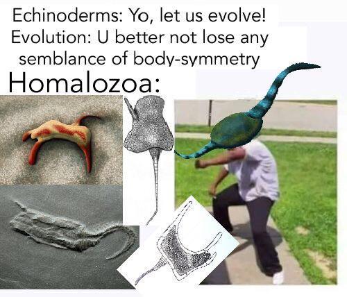 No wonder they‘re extinct | Scrolller No wonder they‘re extinct | Scrolller