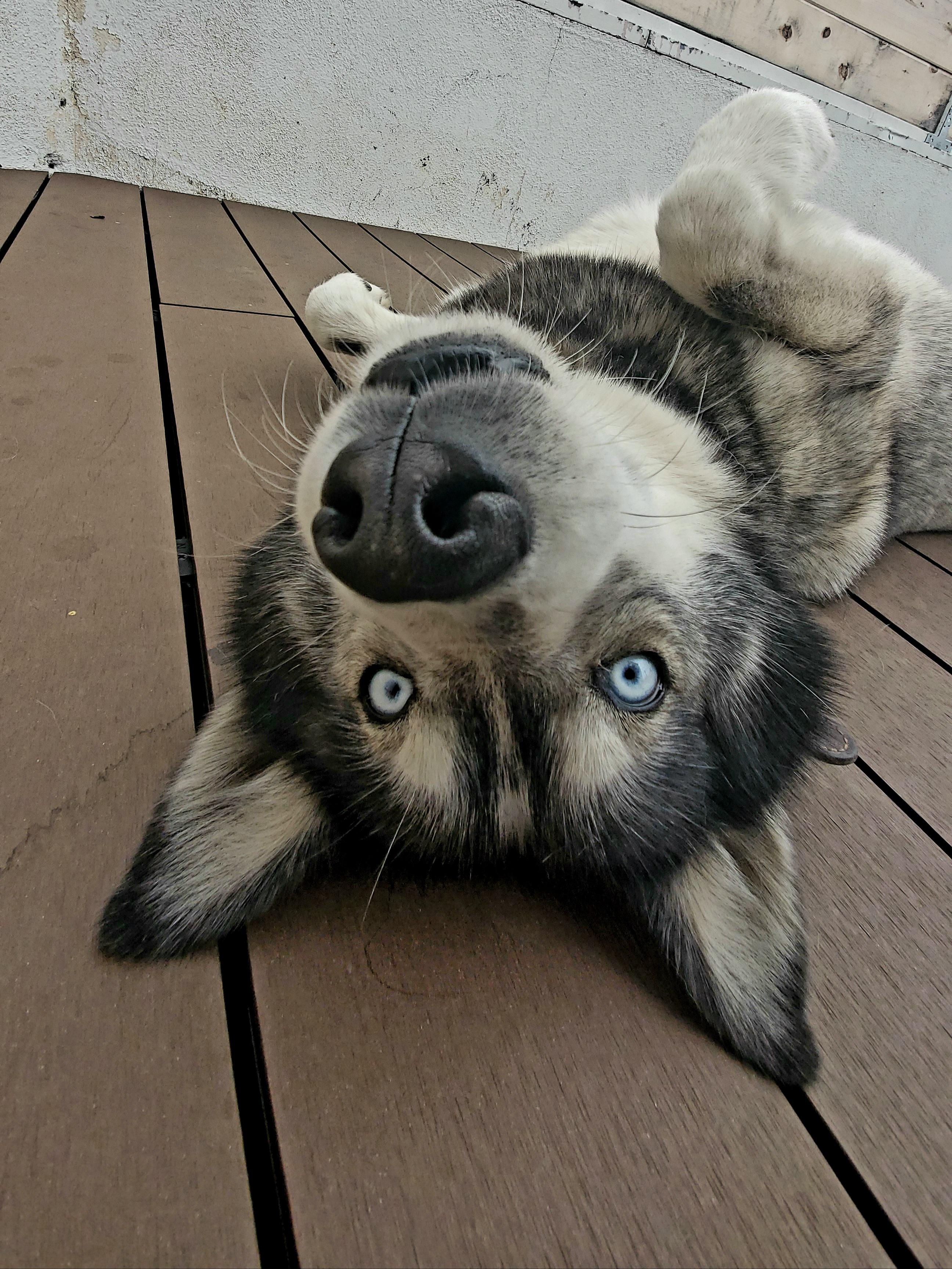 No.. you are weird!! 🤪 | Scrolller