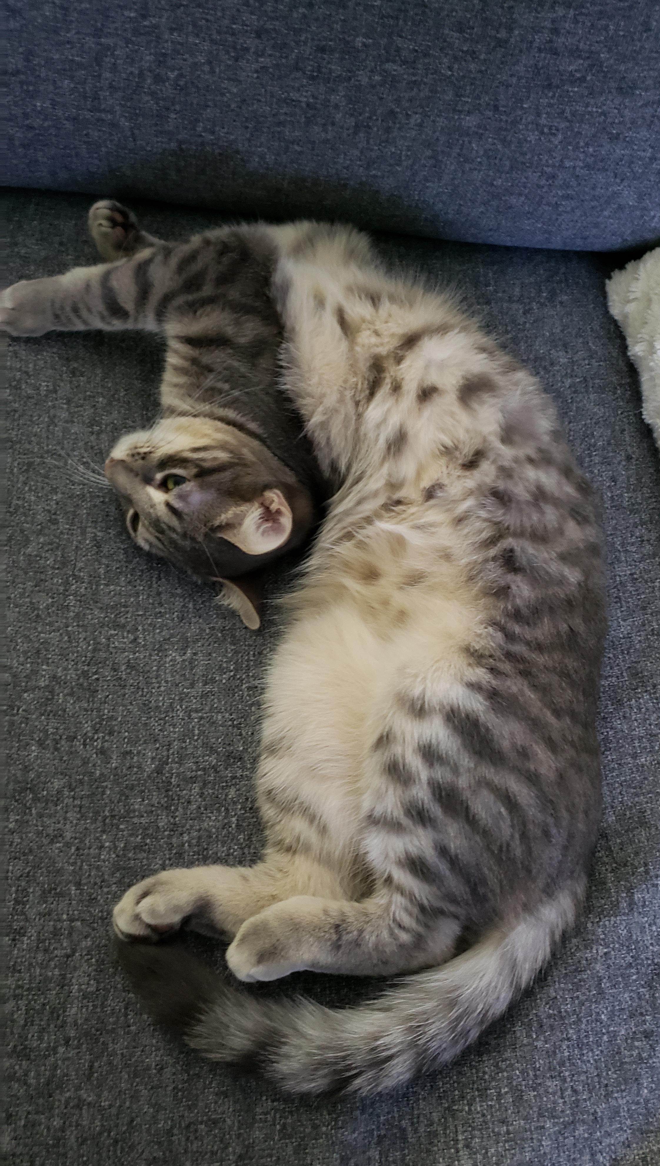 Noodle neck | Scrolller