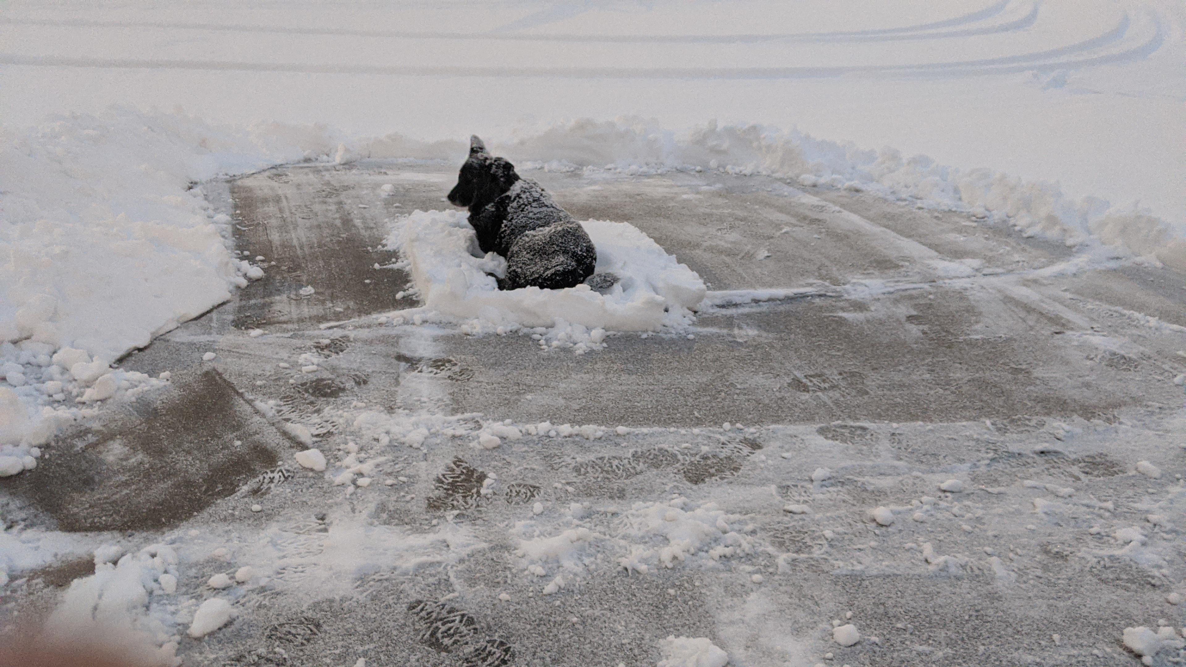 Nope. Not moving. | Scrolller