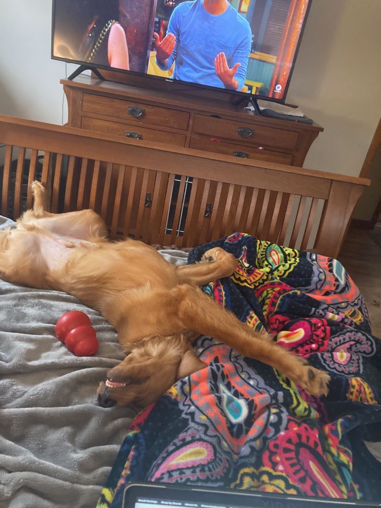 Normal Sunday afternoon nap. | Scrolller