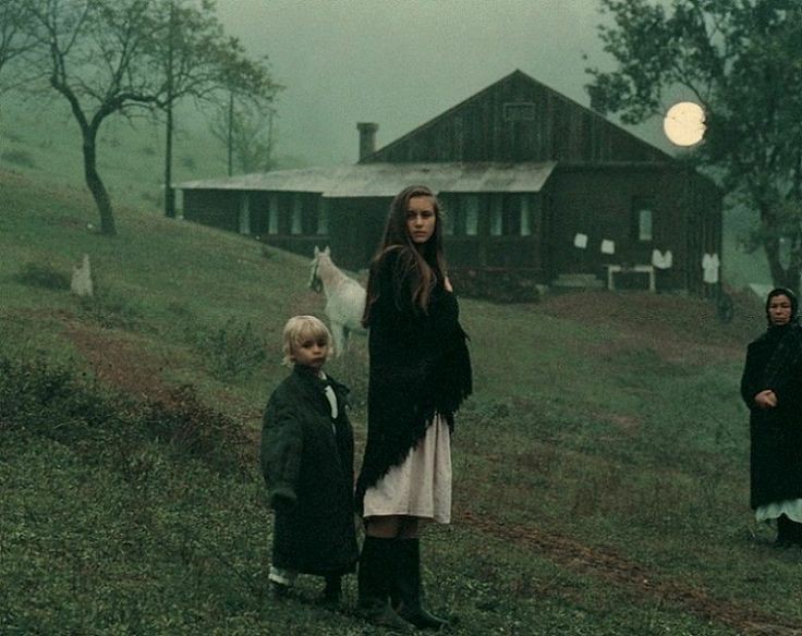 Nostalghia (1983) dir. Andrei Tarkovsky | Scrolller