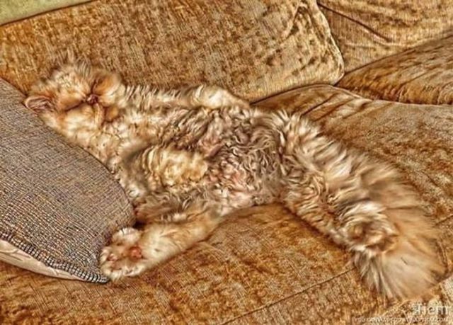 Not here... | Scrolller