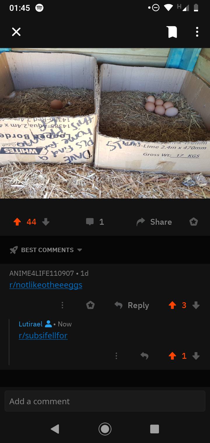 Not like other eggs | Scrolller