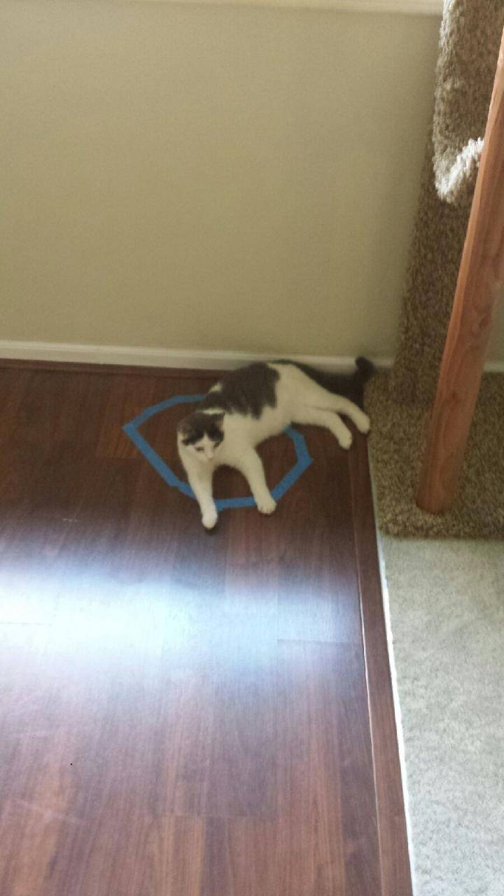 Not quite in the circle... | Scrolller