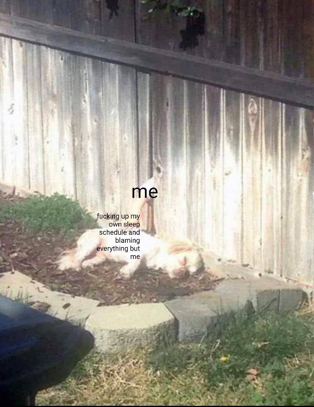 Not relatable at all | Scrolller