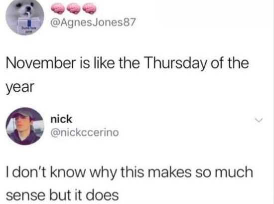 November | Scrolller