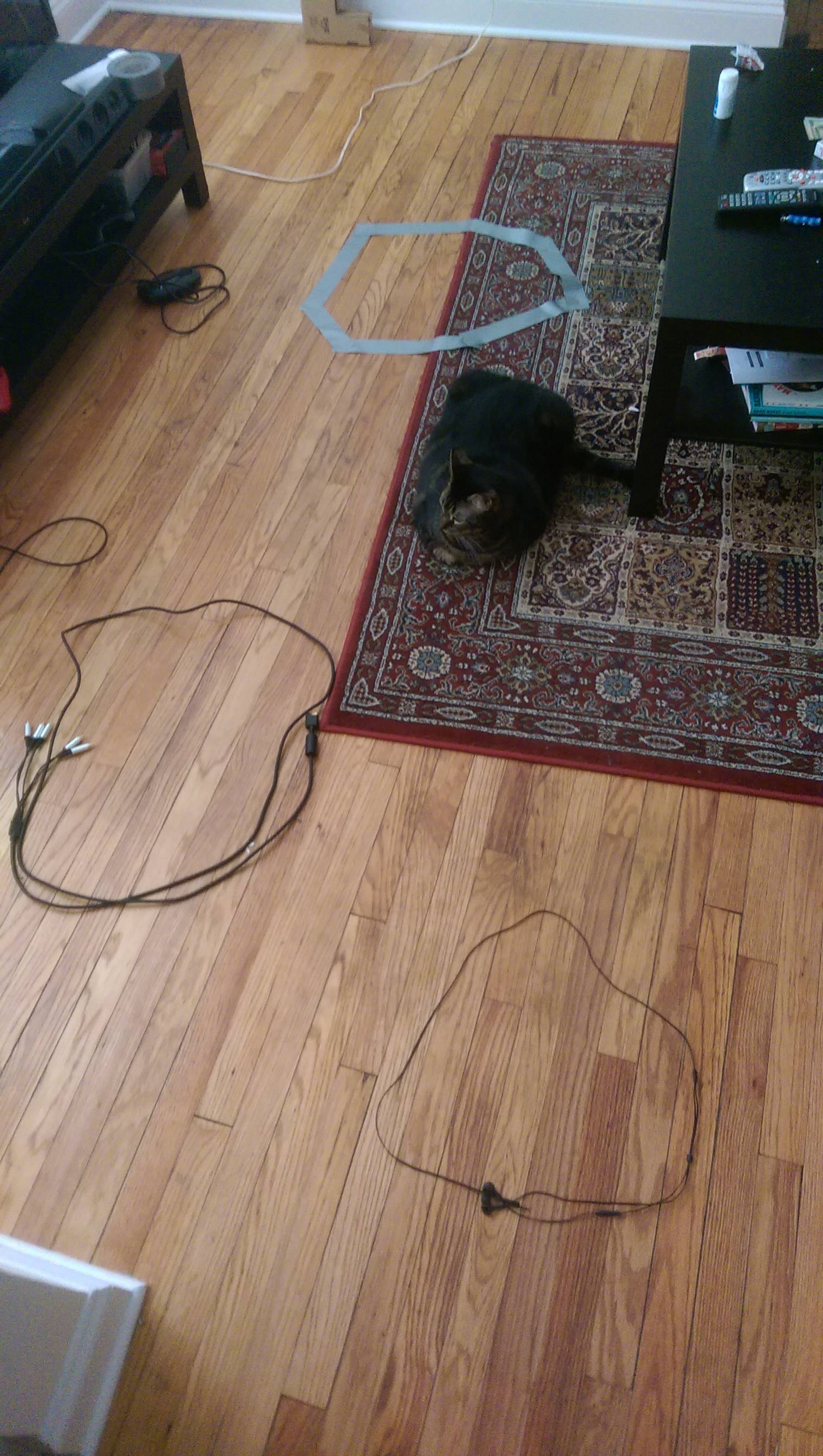 Now I wait. | Scrolller