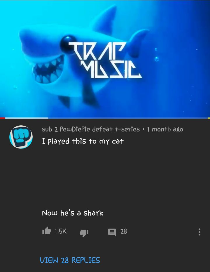 now they're a shark | Scrolller