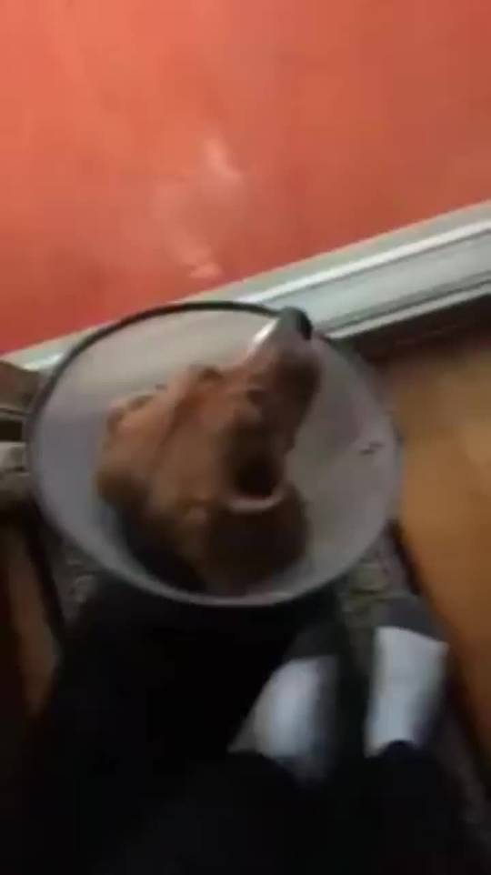 now what? | Scrolller