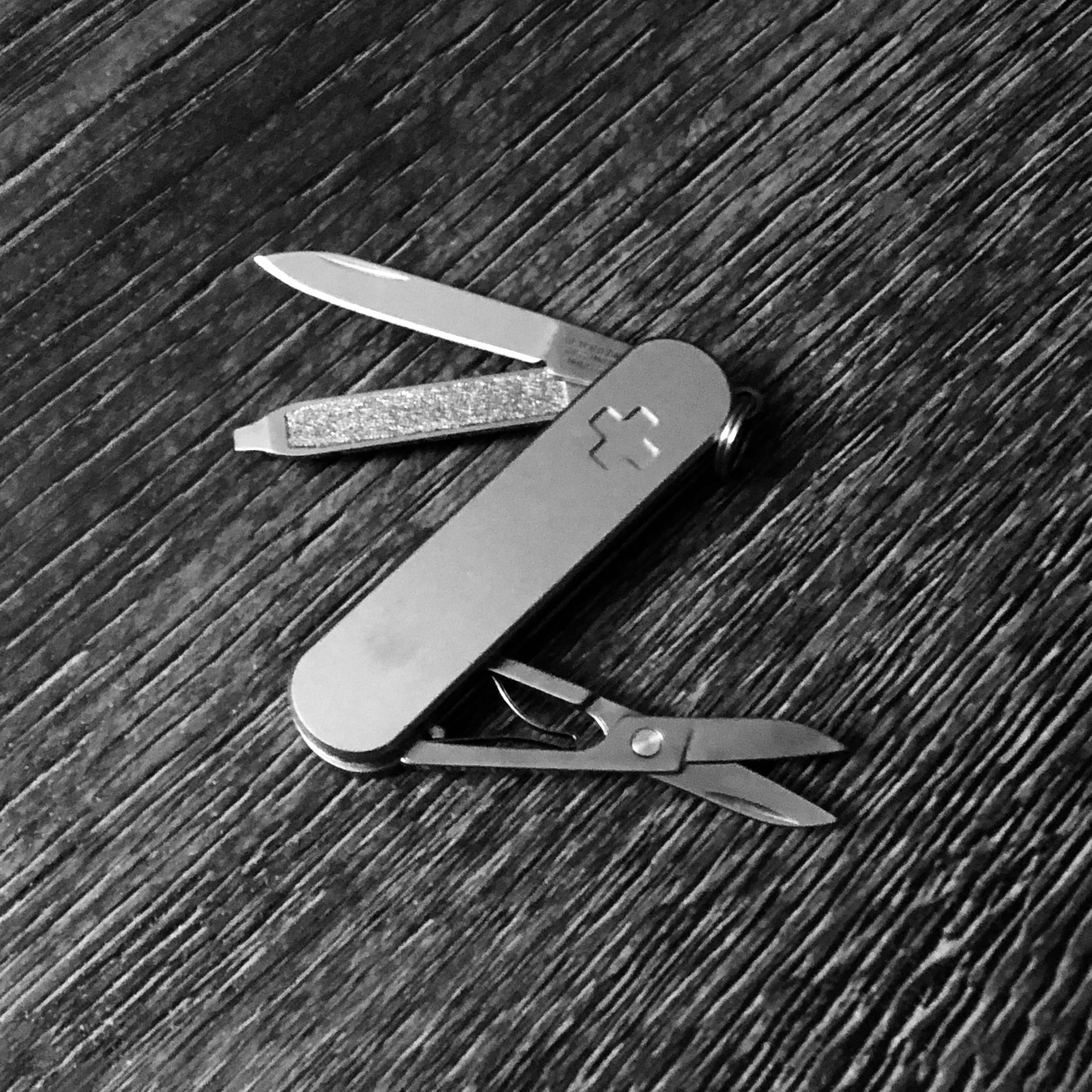 NSD (new scale day) | Scrolller