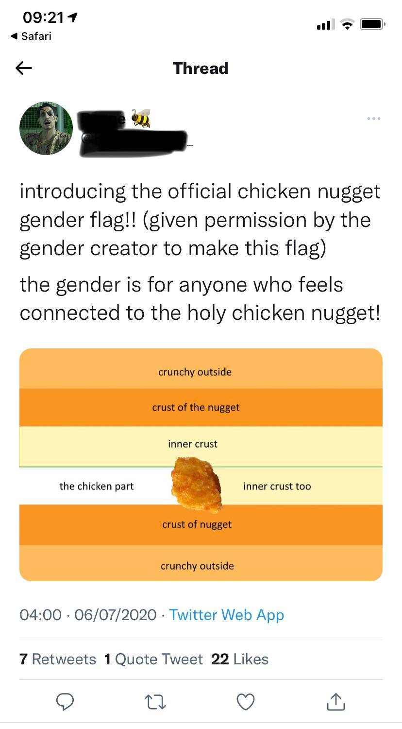 Nugget Gender Flag | Scrolller