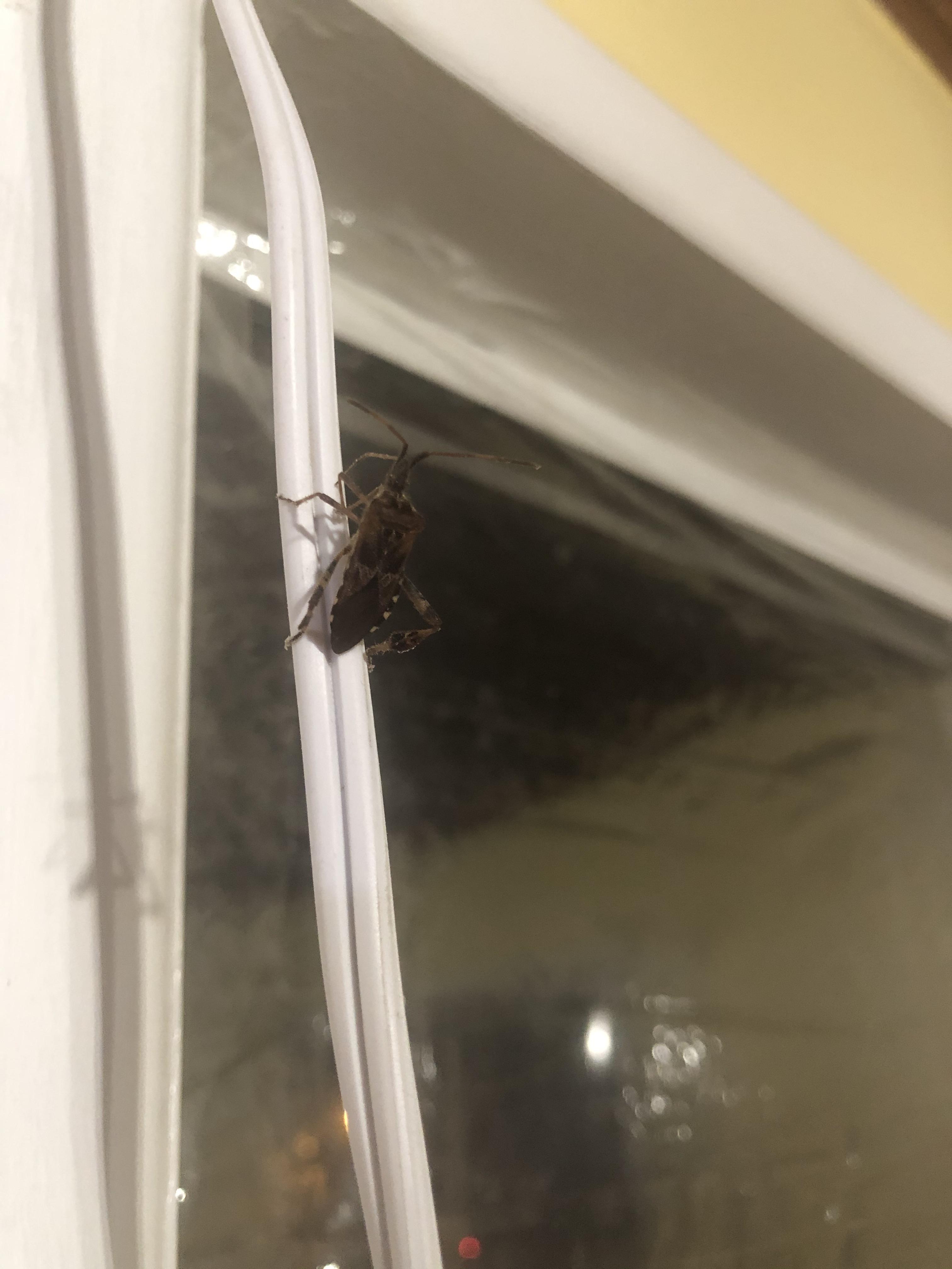 NY, inside | Scrolller