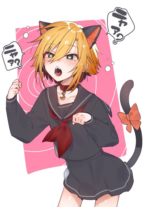 Nyaa? | Scrolller