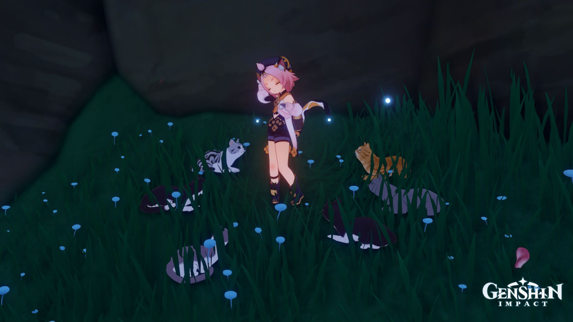 Nyan-Cult | Scrolller