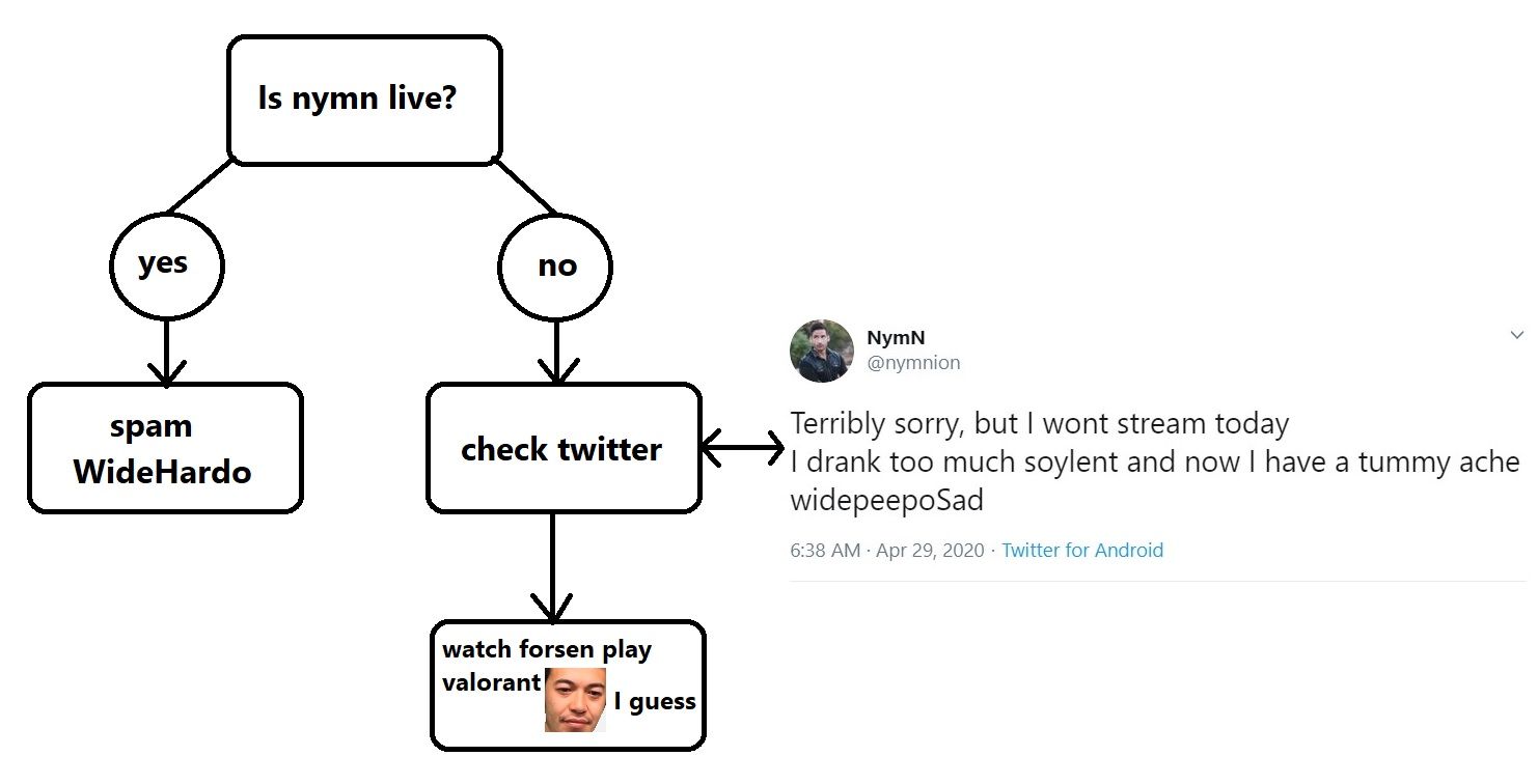 nymn takes a day off flowchart | Scrolller