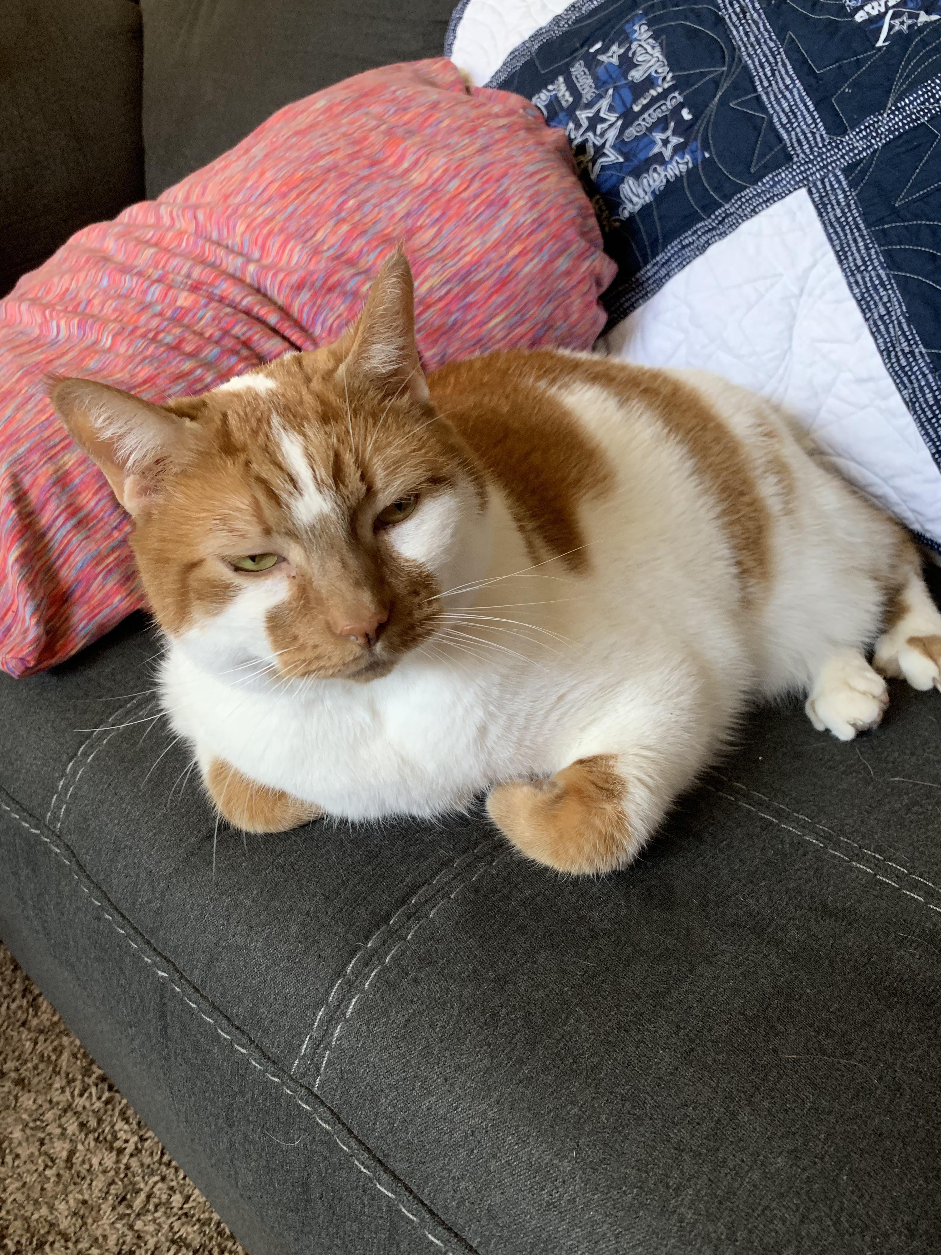 Obie is not amused. | Scrolller