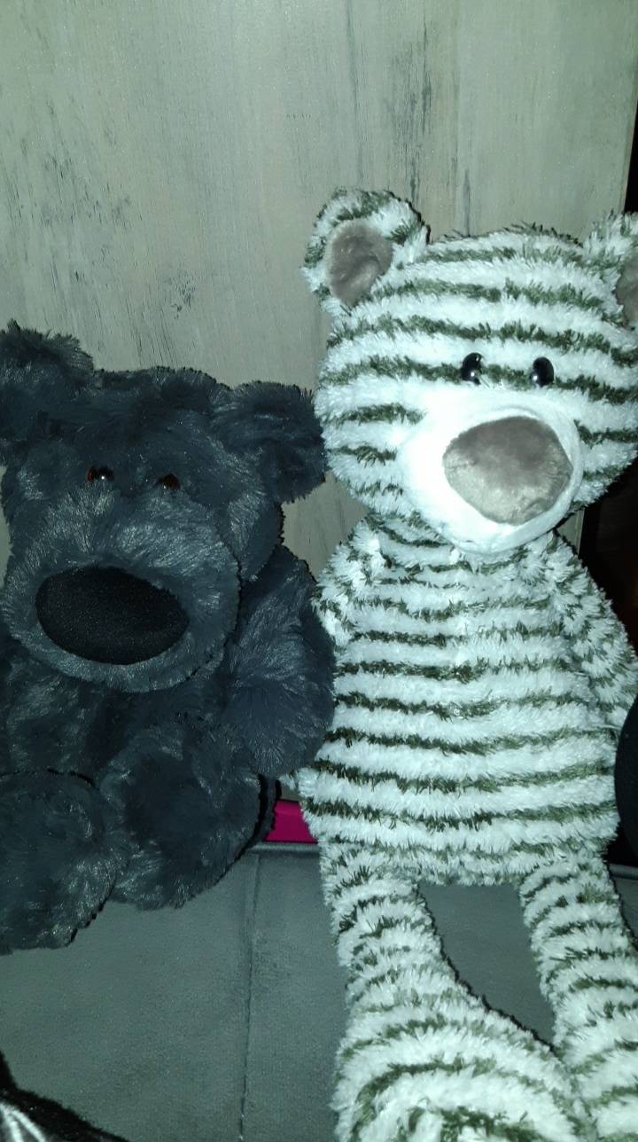 Obsessed with the new bears Daddy got me! | Scrolller