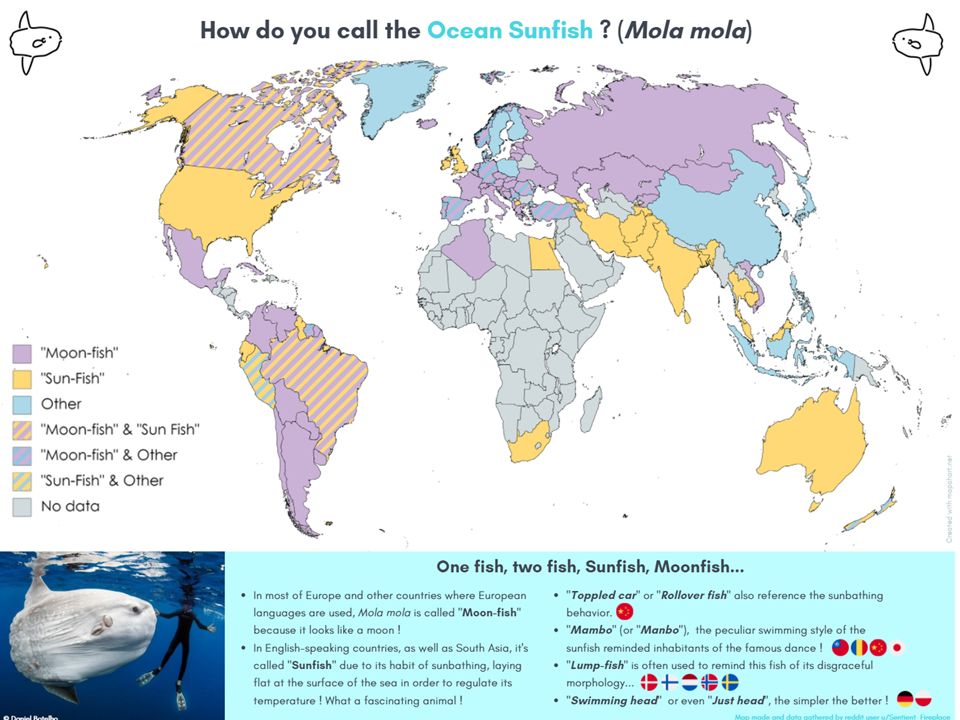 [OC] Behold, the most useful map you will ever see ! Based on ~130 translations and a week of ...