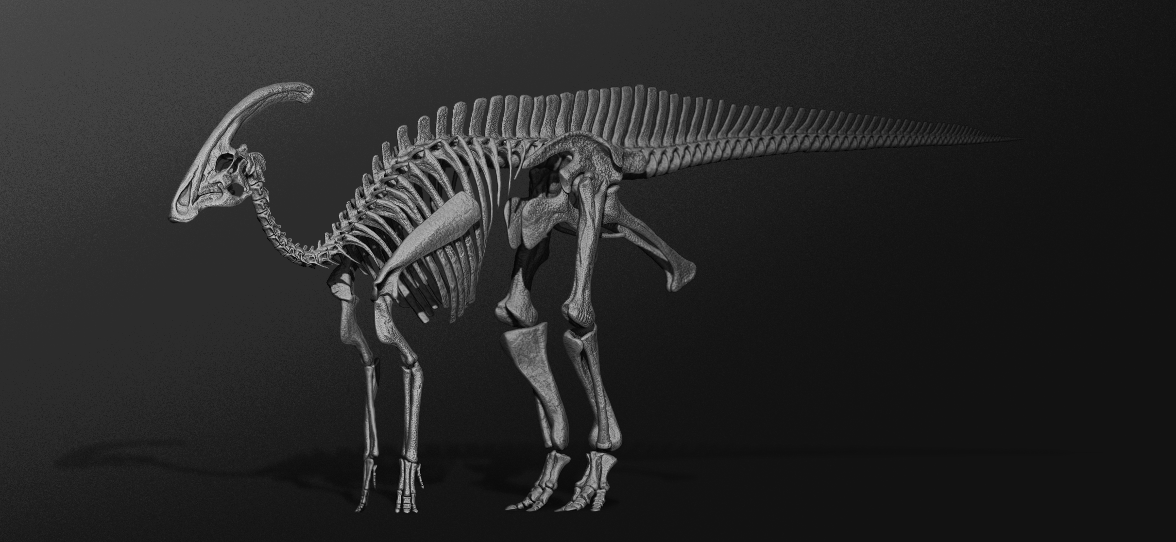 (OC) Parasaurolophus Walkeri skeleton | Scrolller