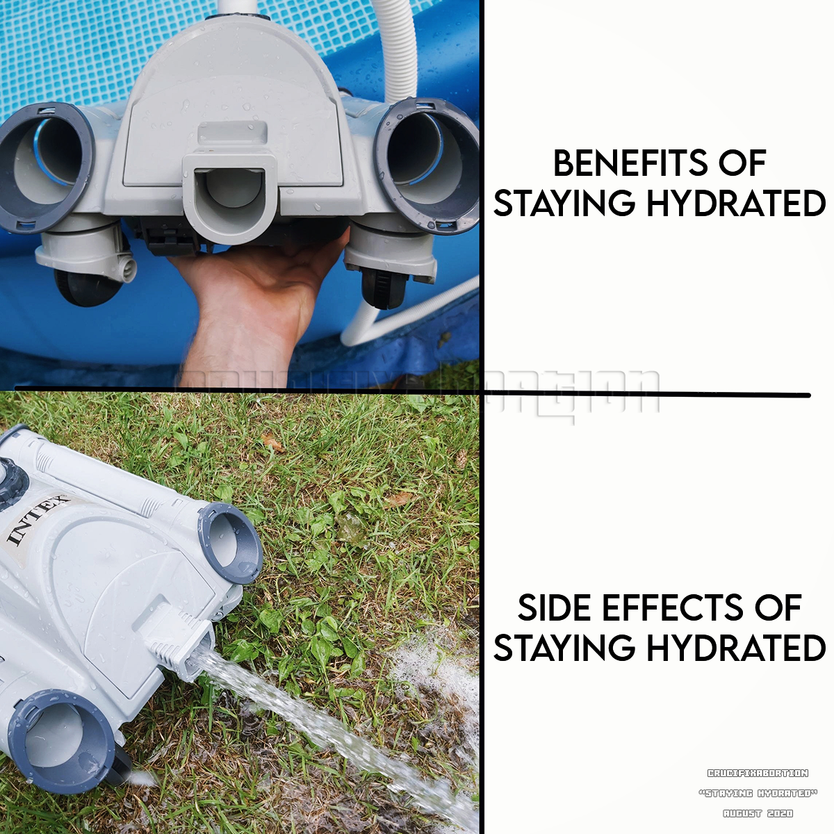 [OC] Staying Hydrated | Scrolller