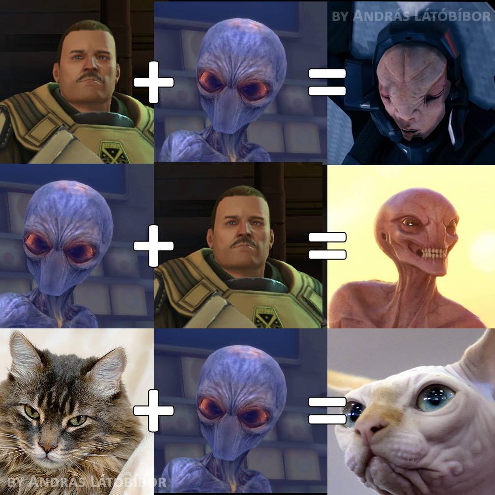 [OC] The sphynx cat... Alien DNA? | Scrolller