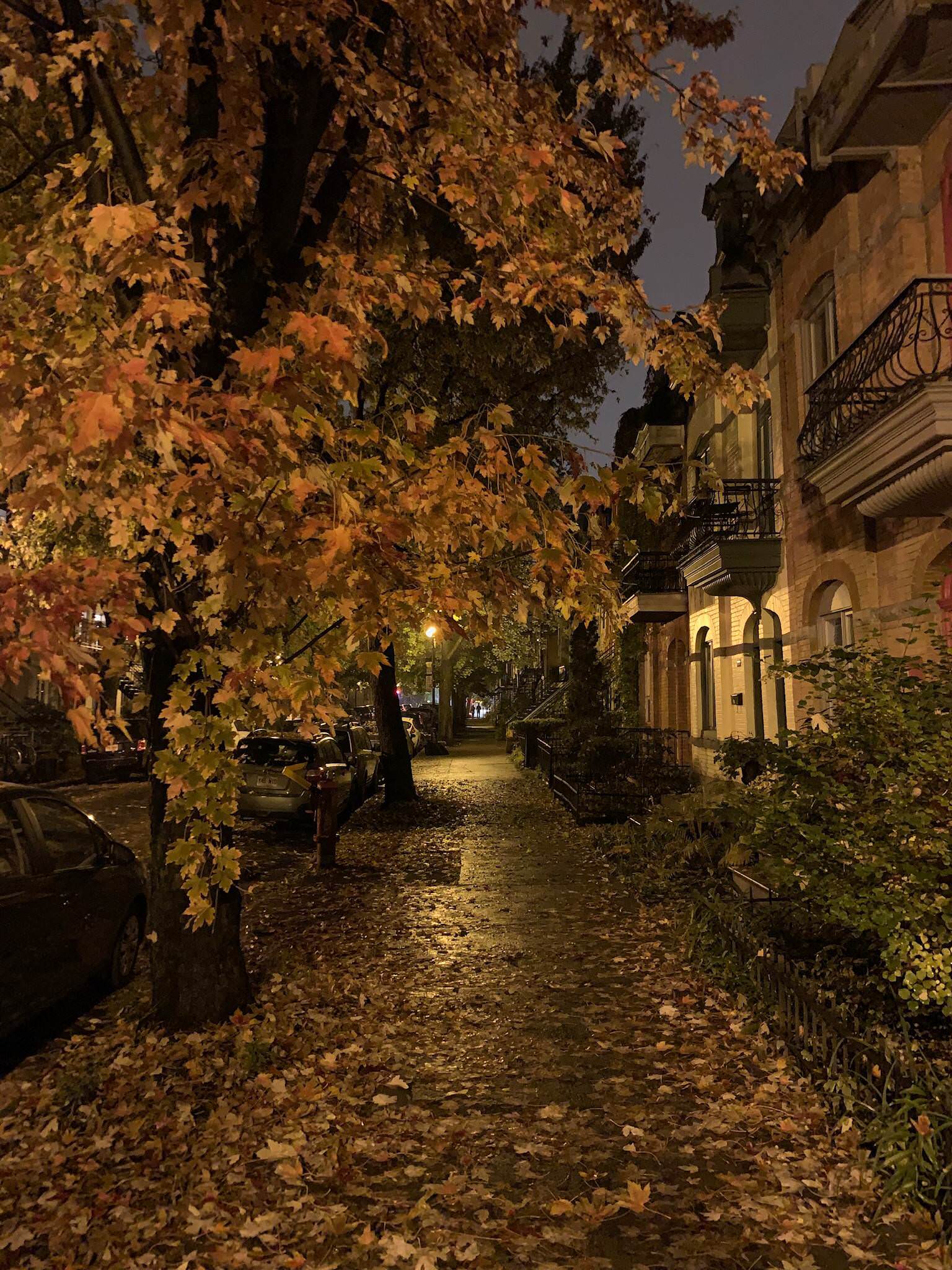 October evening in Montreal | Scrolller