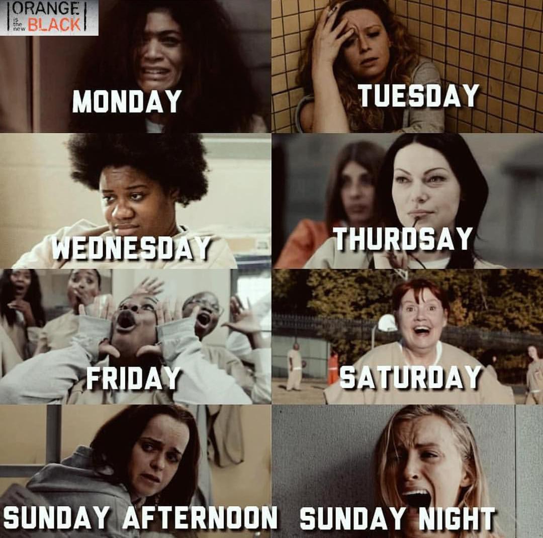 Oddly Accurate | Scrolller