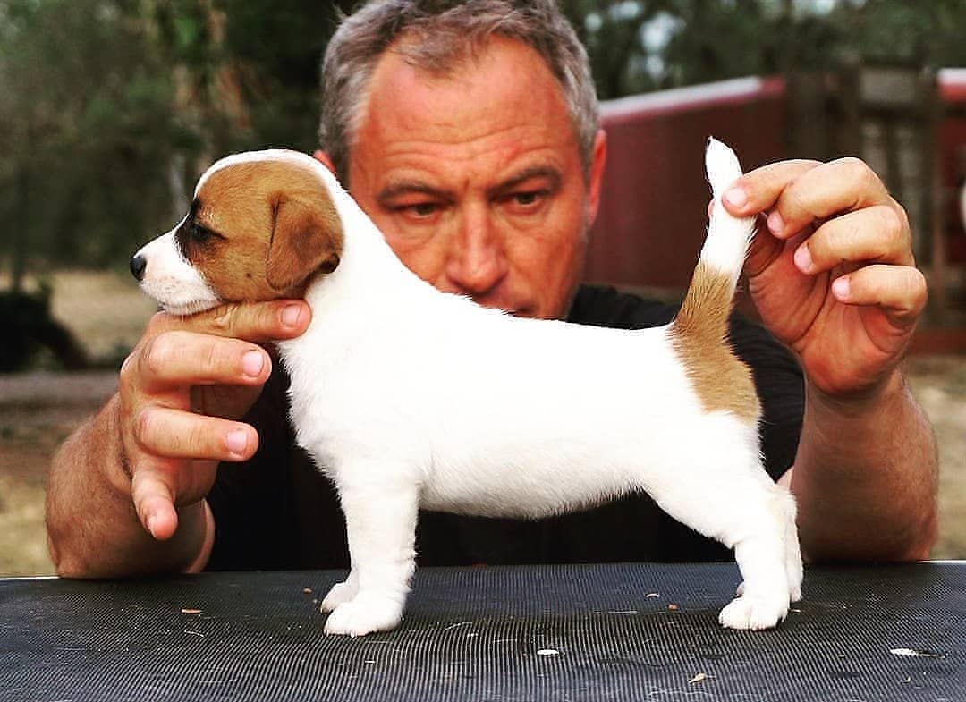 Certified and everything. Lock them up! | Scrolller