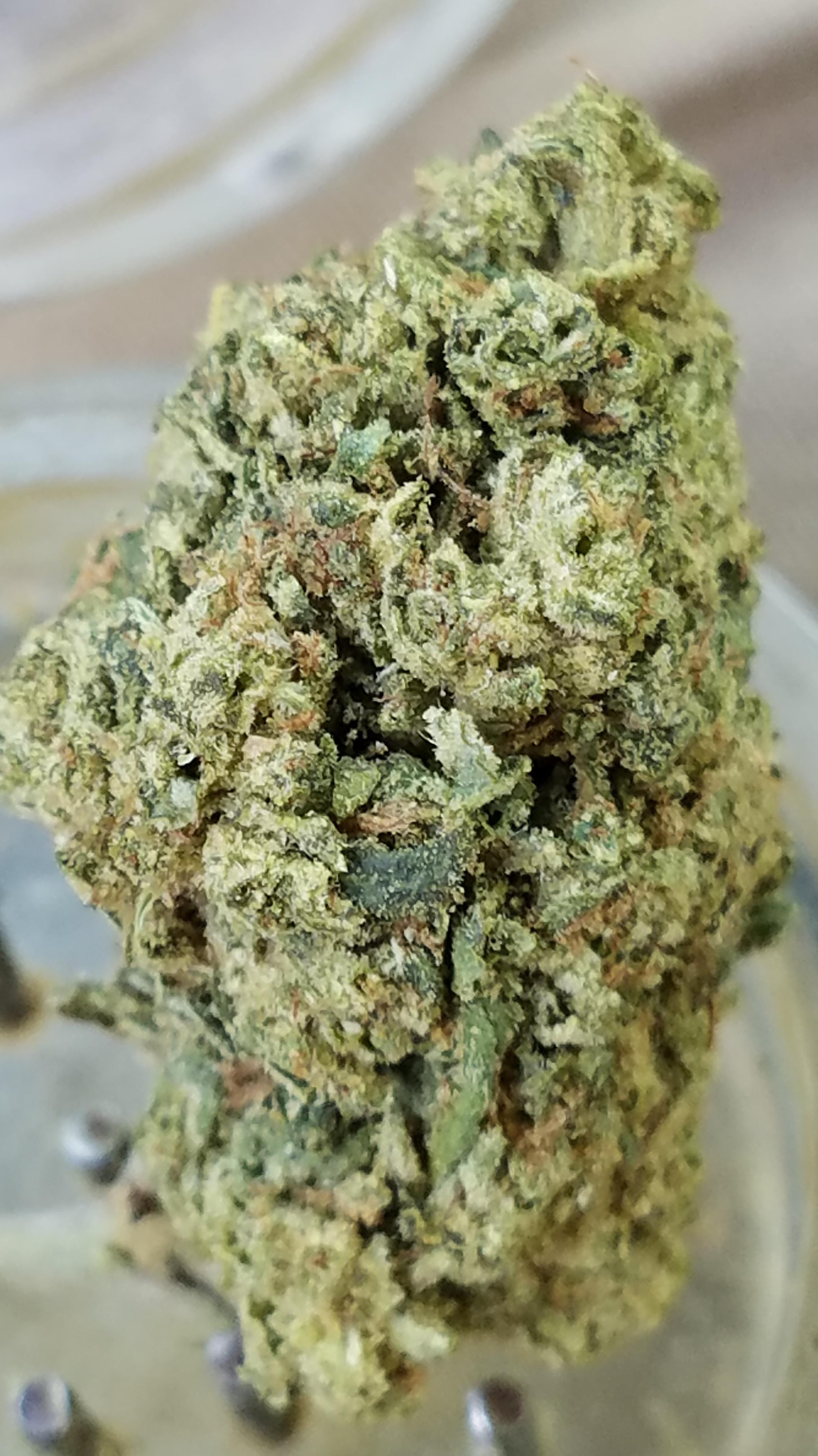 OG Kush | Scrolller