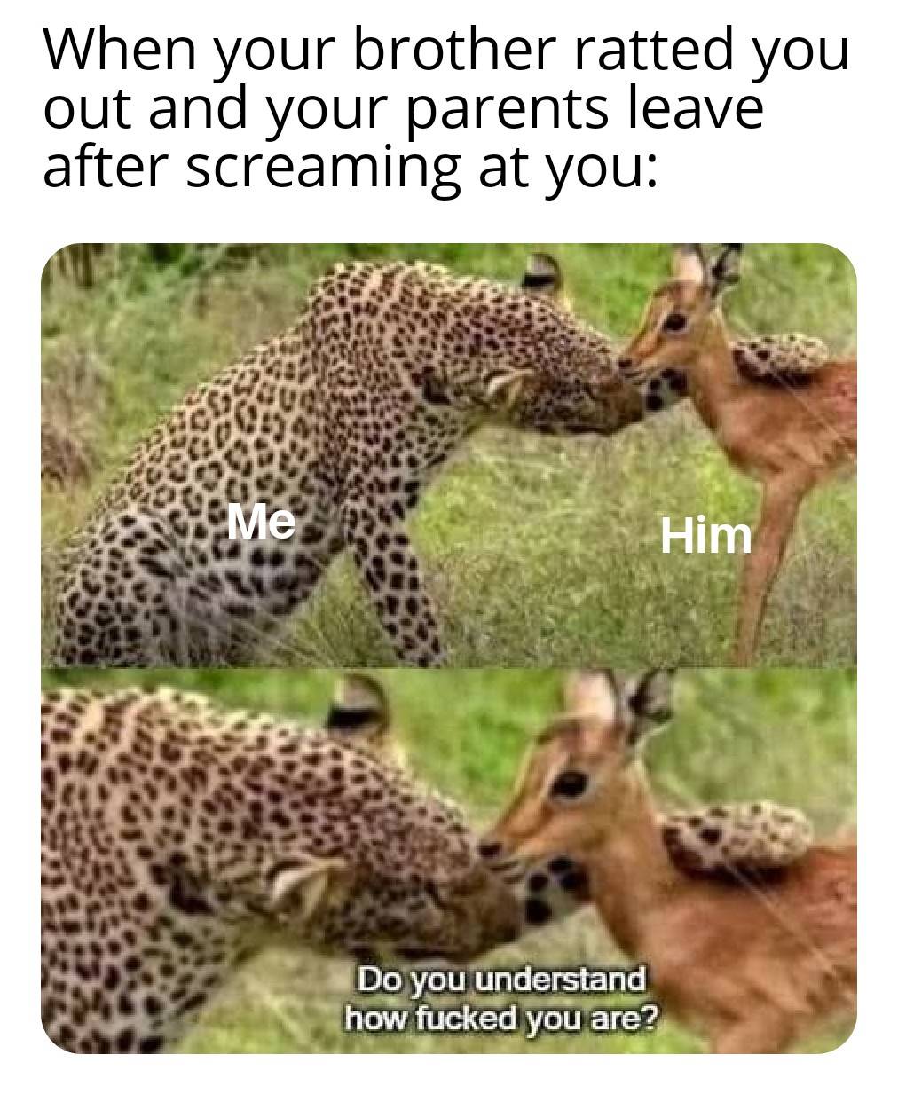 Oh he dead dead | Scrolller