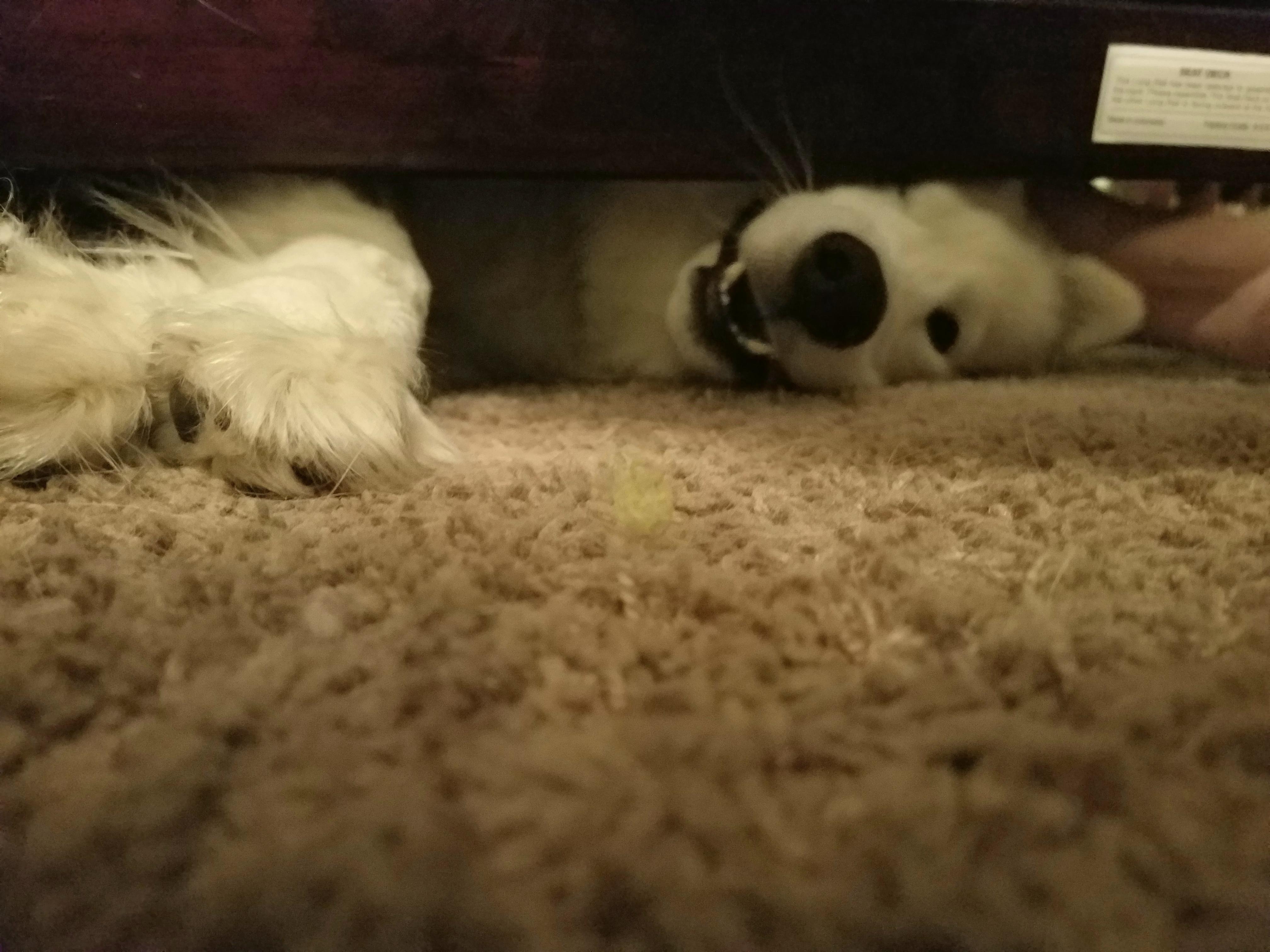 Oh, Hello There! | Scrolller