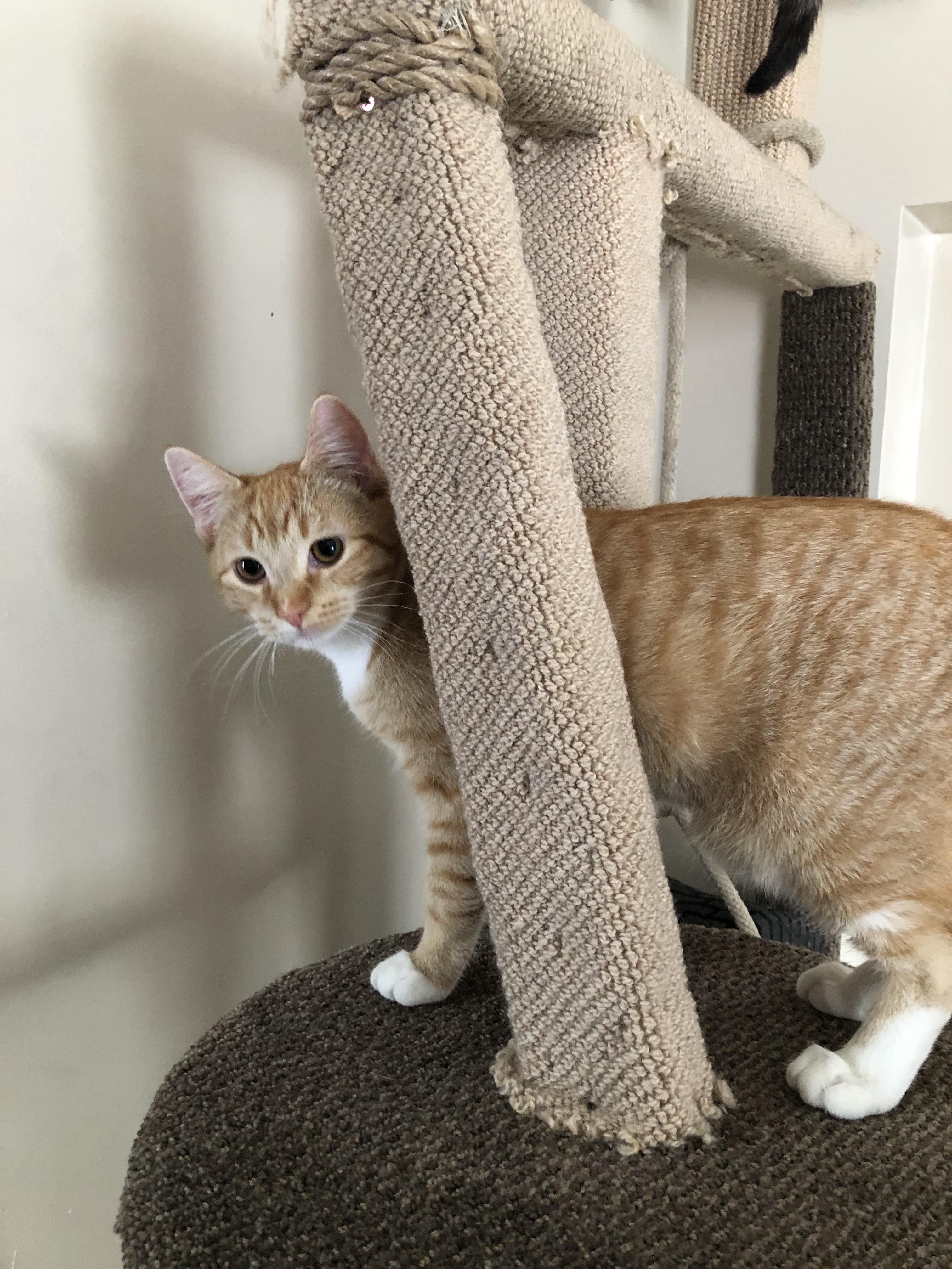 Oh hello there | Scrolller