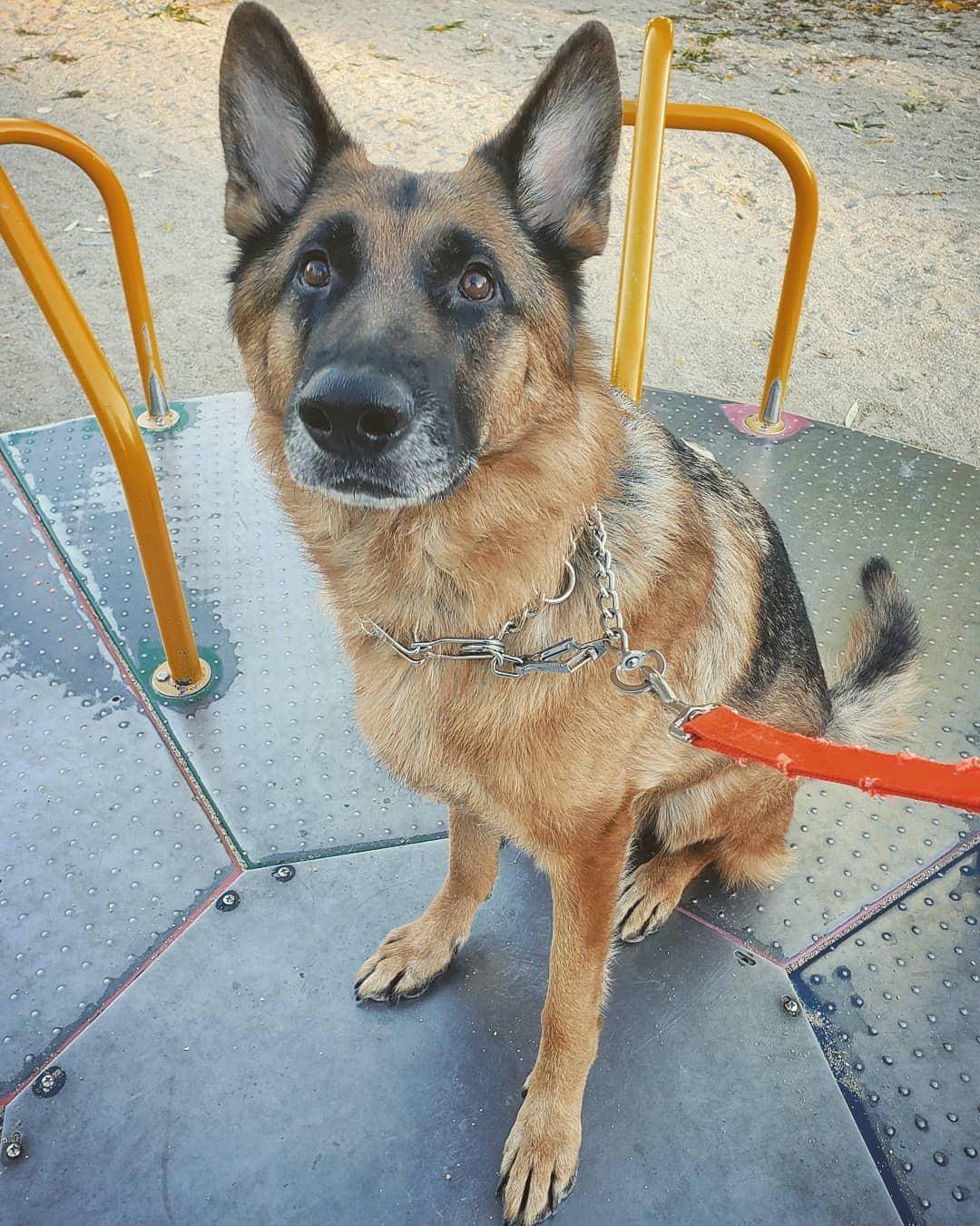 Oh hey friend... - ghost | Scrolller