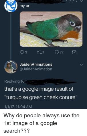 Oh, Jaiden... | Scrolller