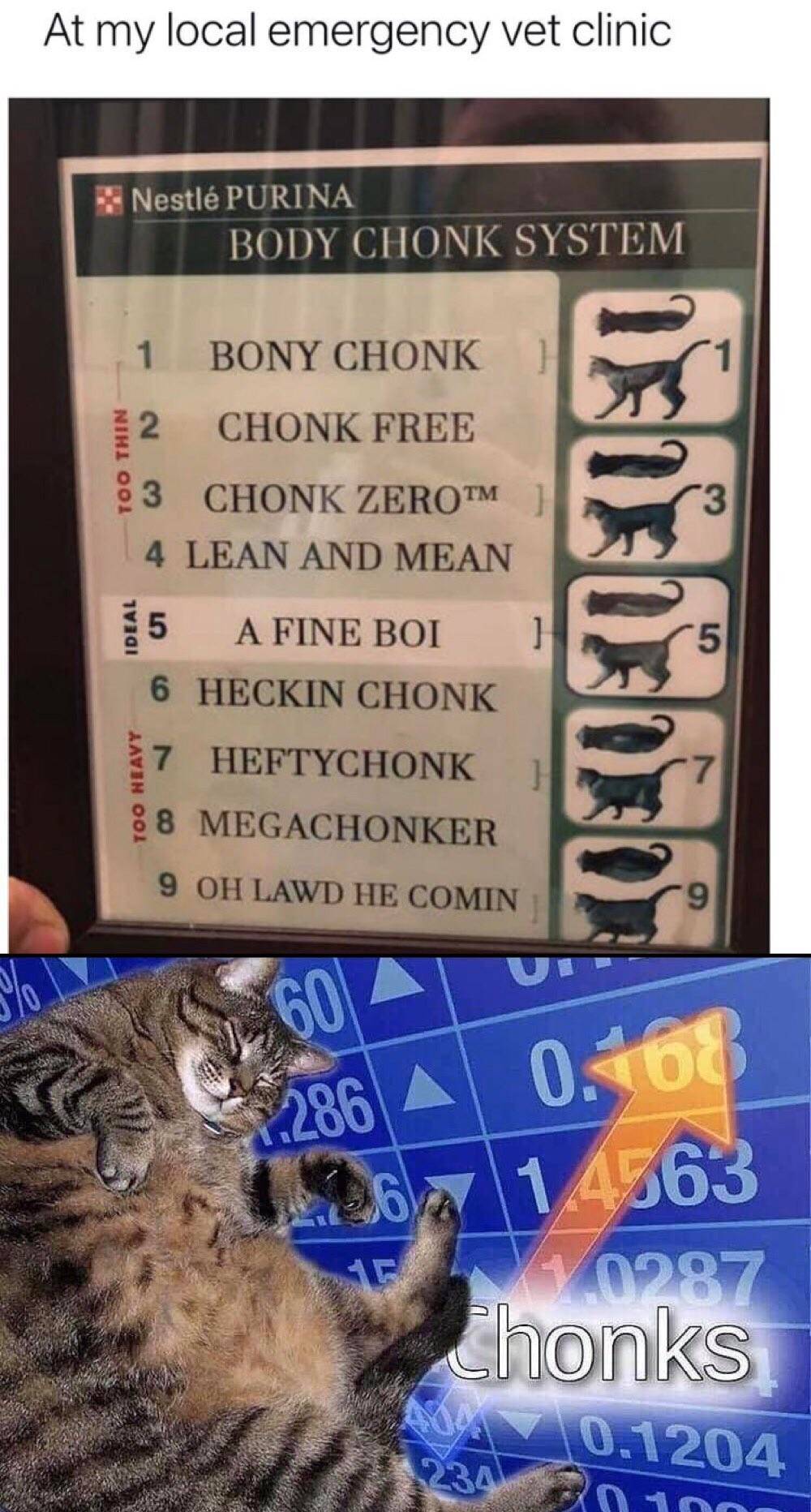 Oh lawd he chonk | Scrolller