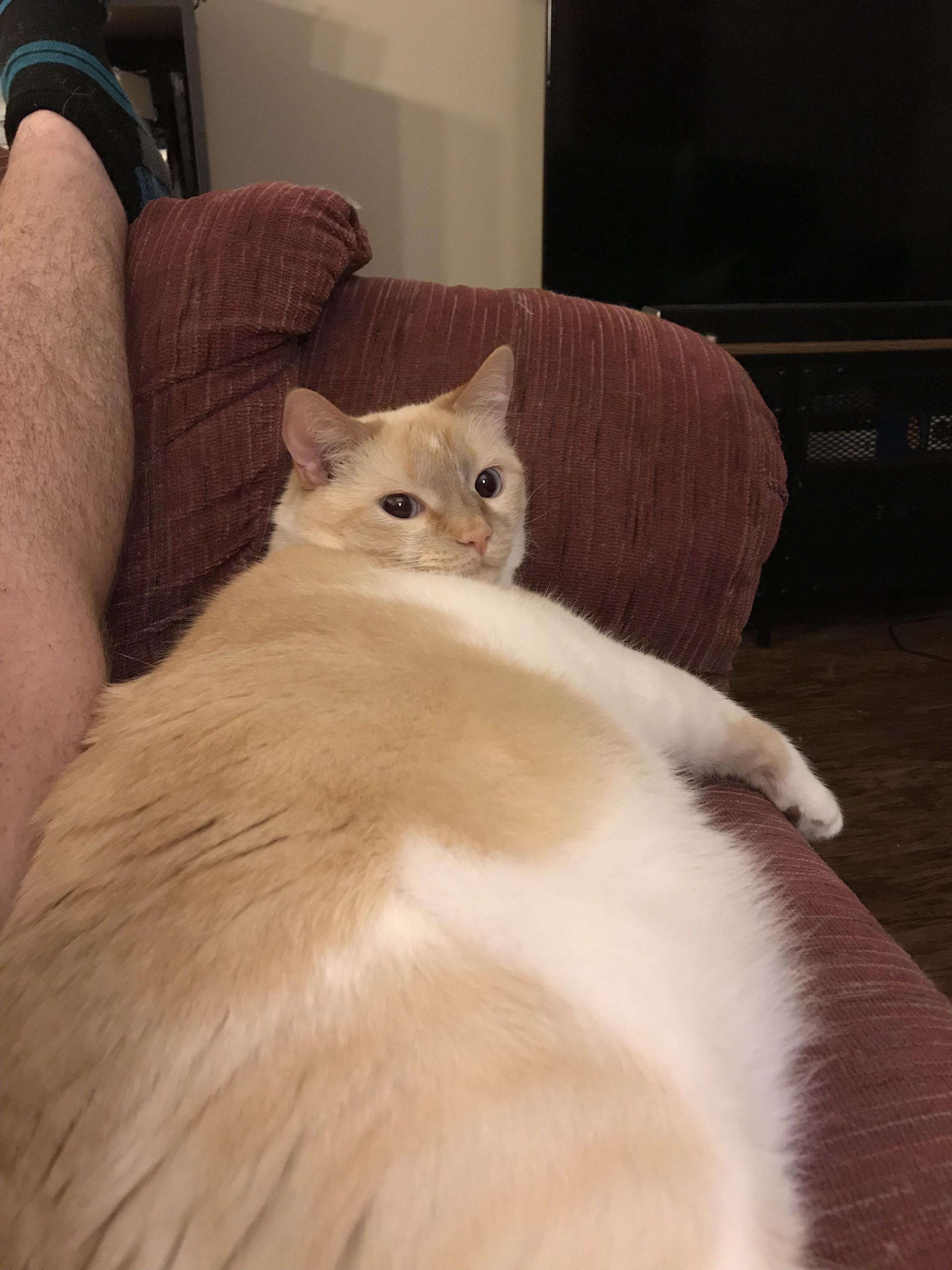 Oh LAWD he loungin’ | Scrolller