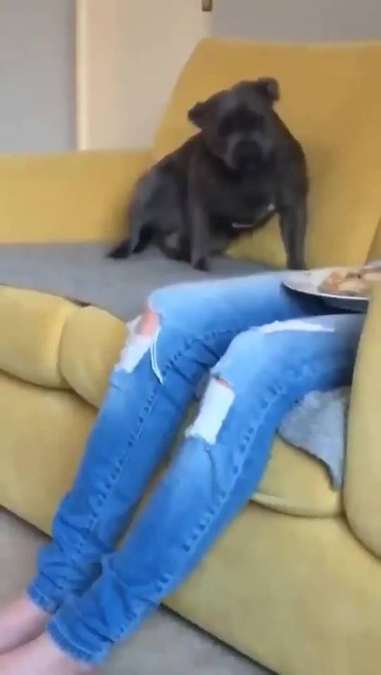 Oh LAWD he’s malfunctioning | Scrolller