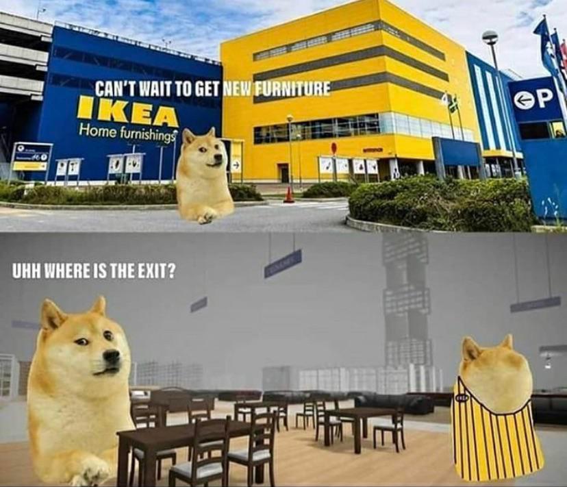 Oh No cheems, run! | Scrolller