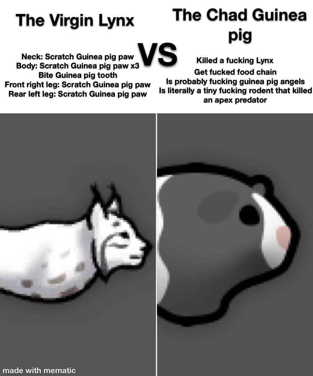 Oh randy... | Scrolller