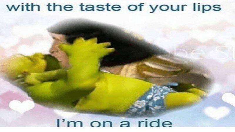 oh shrek that feels so good | Scrolller