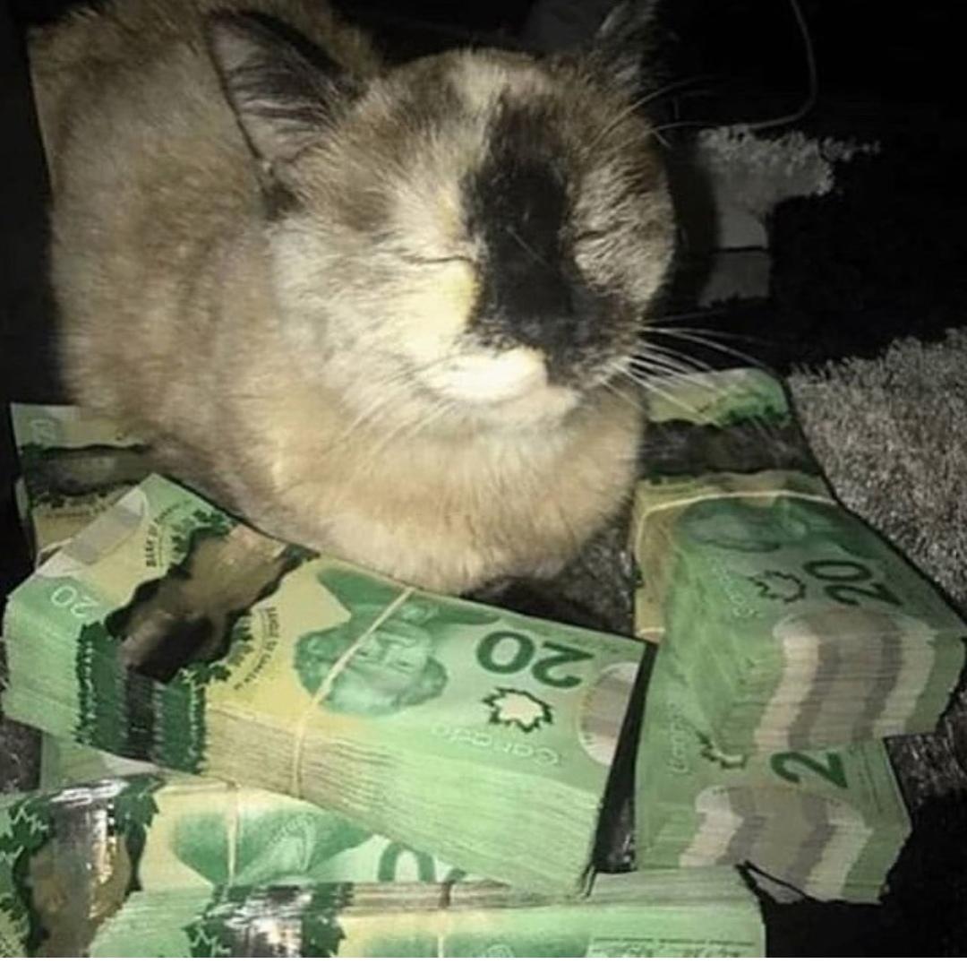 Oh, sweet sweet money | Scrolller