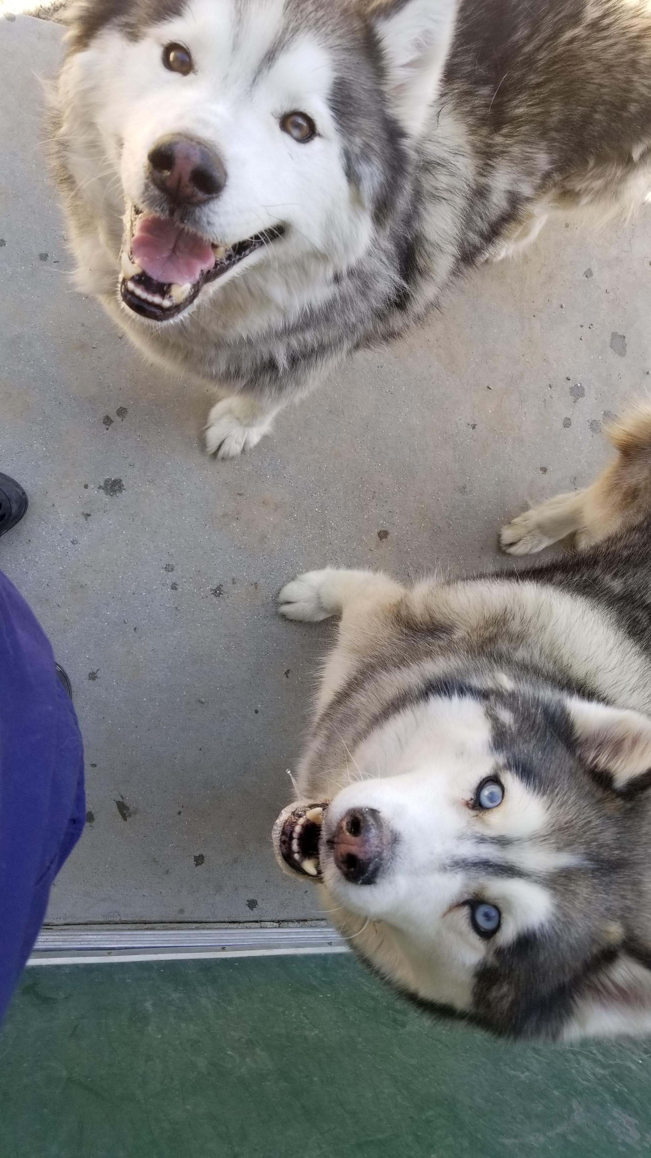 Old boys Leo and Peter ♡ | Scrolller
