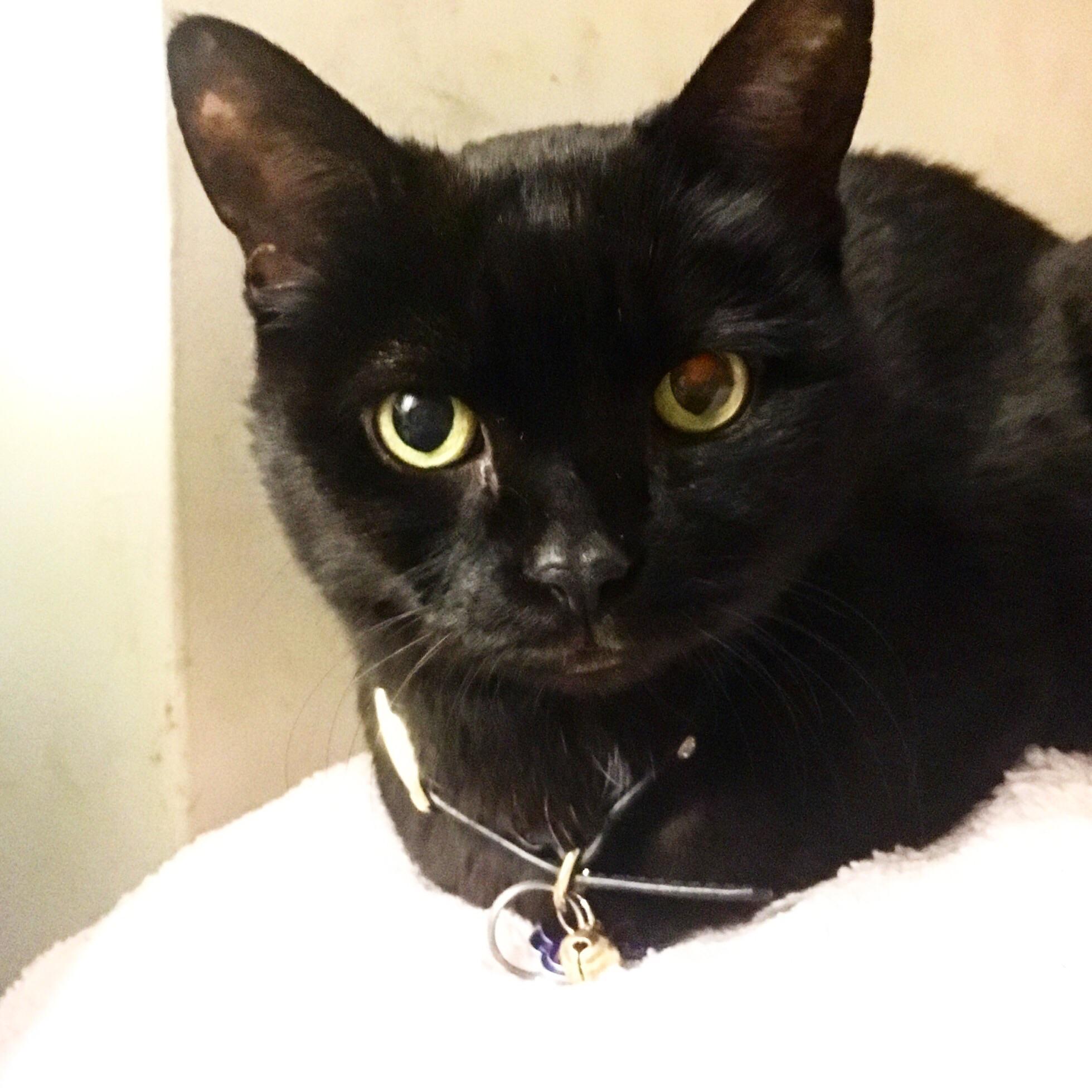 Old lady morning loaf! | Scrolller