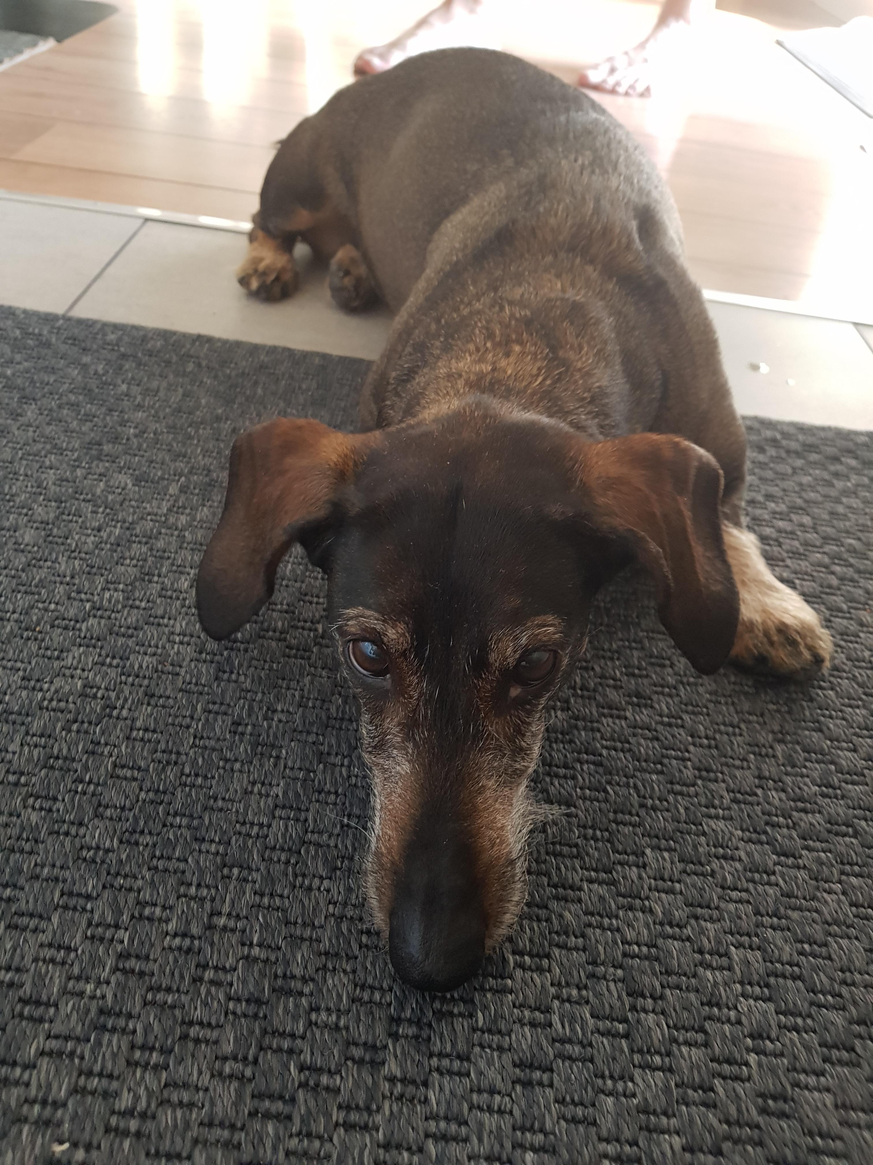 Old lady tired of posing for the camera | Scrolller